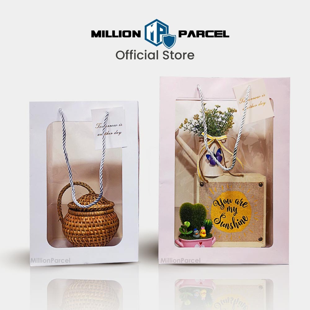 Window Paper Bag 10pc | Gift Bag | Small Gift Bags | Birthday Bag ...