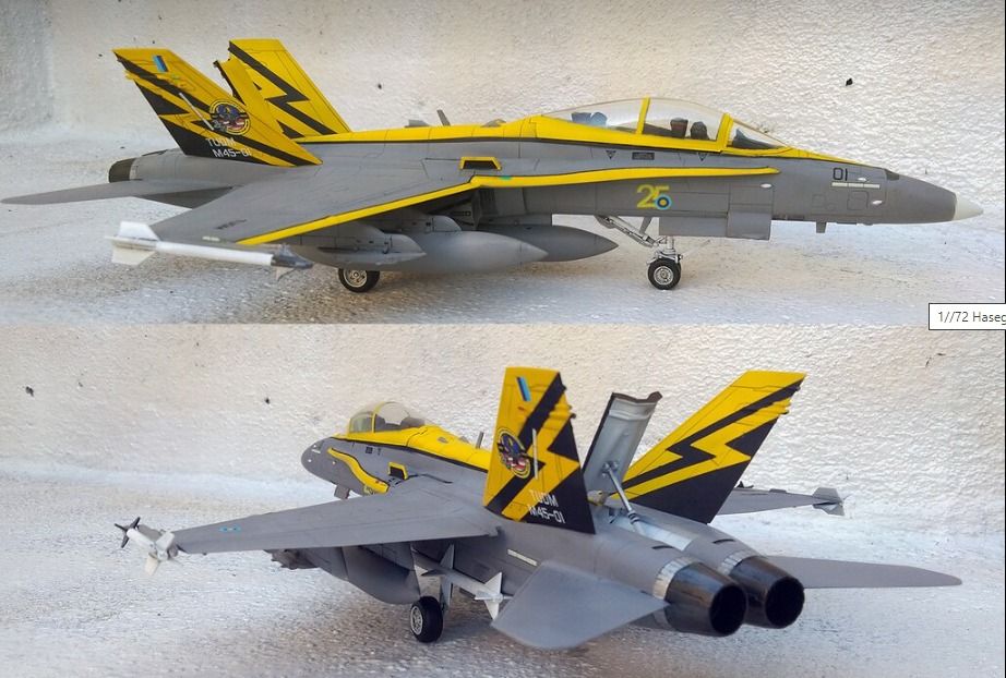 1/72 Hasegawa F/A-18D 25th Anniversary TUDM RMAF, Hobbies & Toys, Toys ...