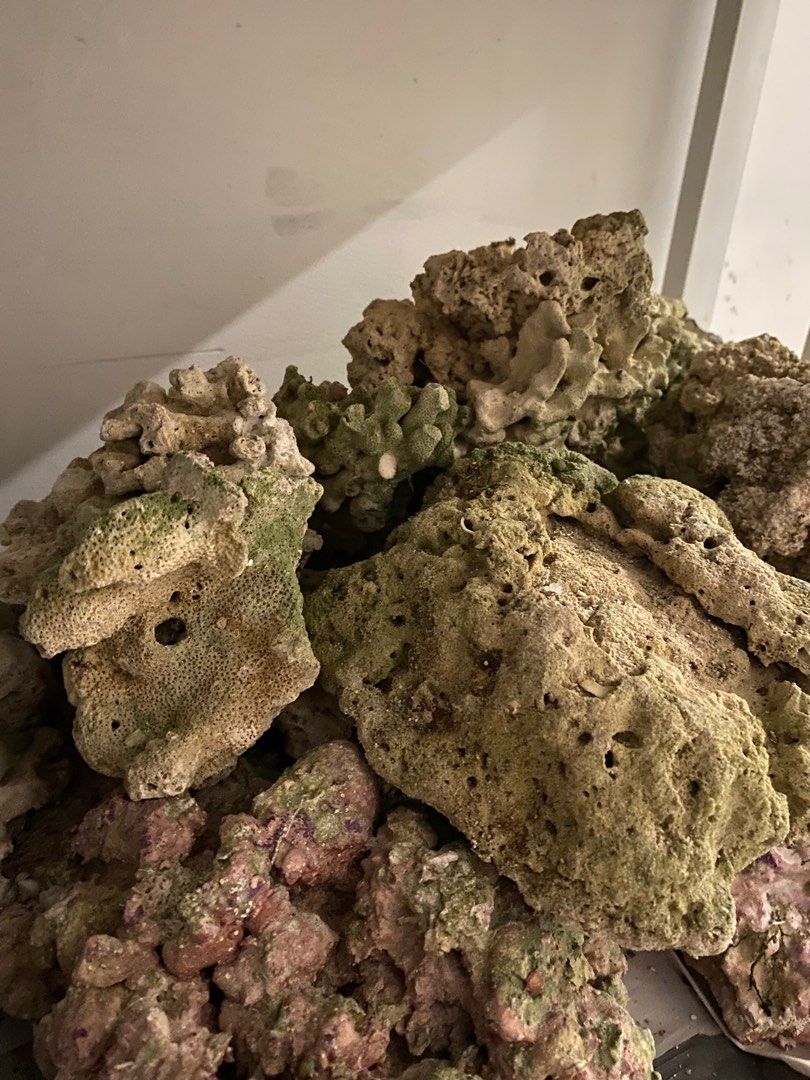 Aquarium Reef rocks, Pet Supplies, Homes & Other Pet Accessories on ...