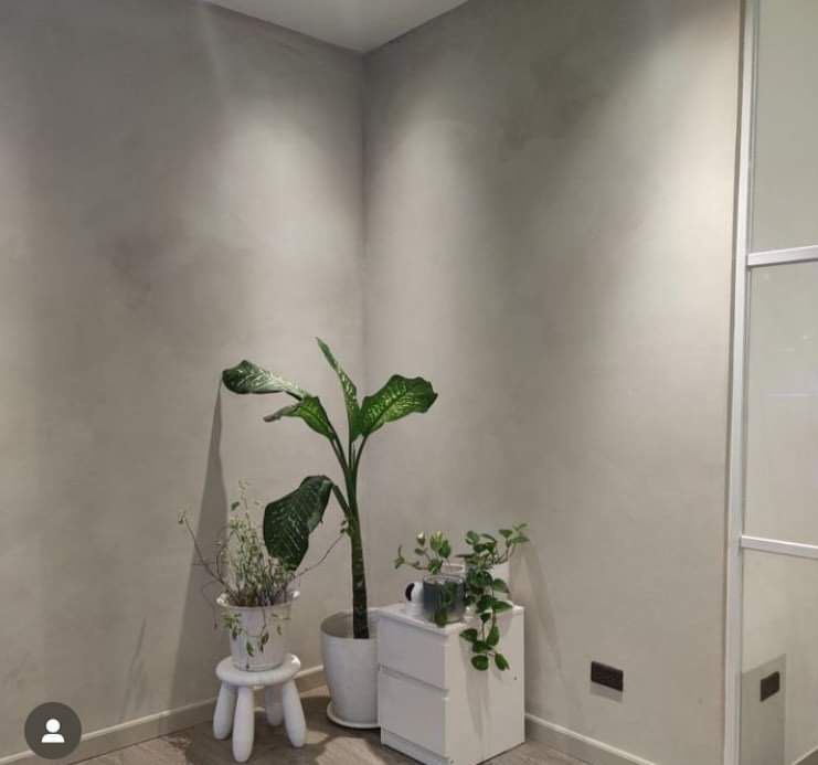 Asvesti Limewash Paint, Furniture & Home Living, Home Improvement ...