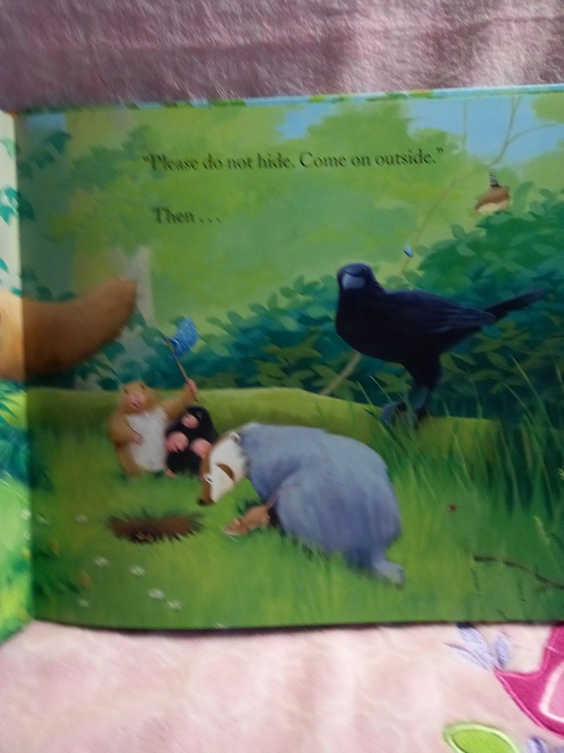 Bear's New Friend big hardbound book by Karma Wilson and Jane Chapman ...