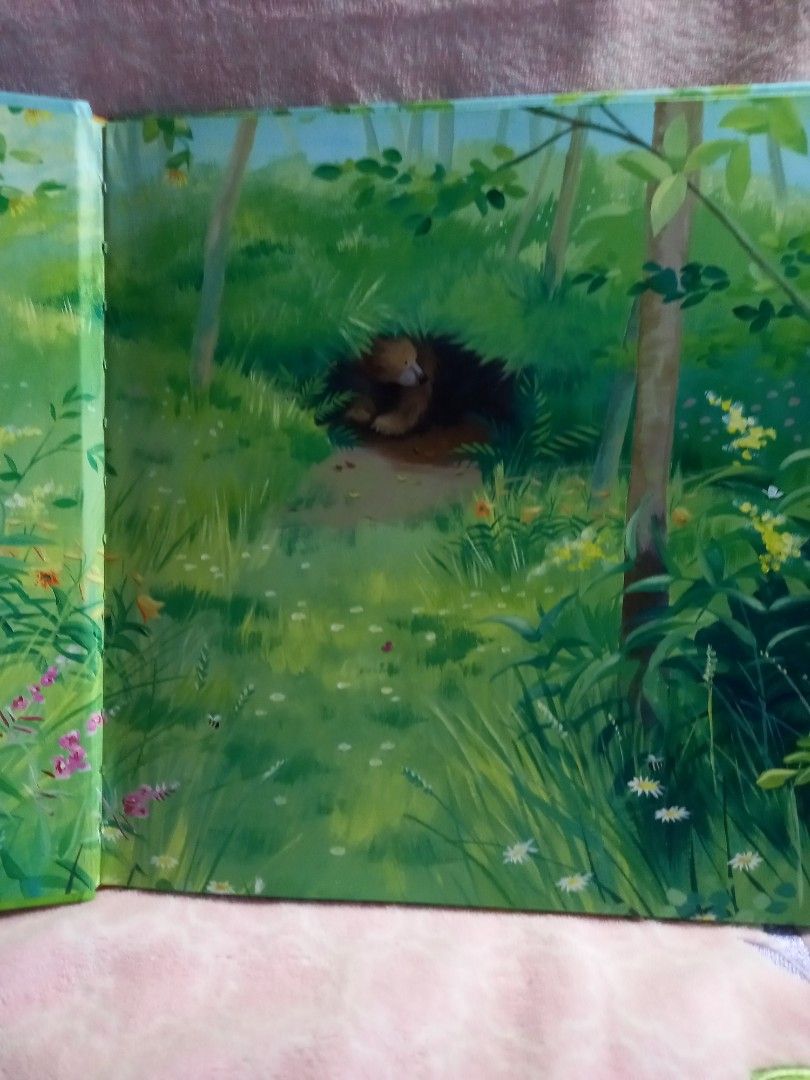 Bear's New Friend big hardbound book by Karma Wilson and Jane Chapman ...