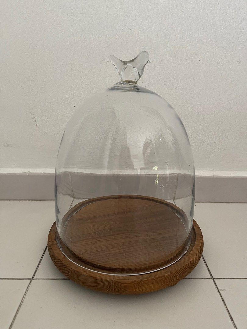 Beautiful large glass cloche, Furniture & Home Living, Home Decor ...