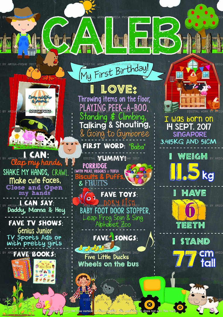 BIRTHDAY MEMORY BOARD - DIGITAL COPY, Babies & Kids, Bathing & Changing ...