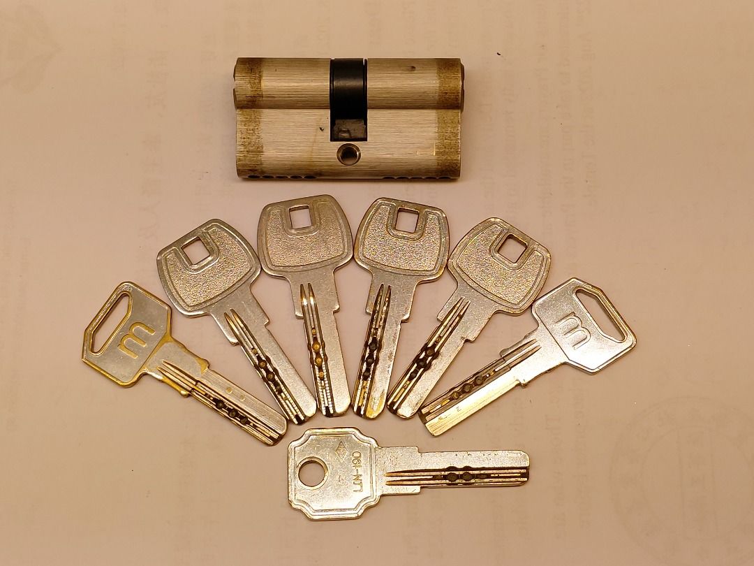Euro Profile High Security Key Unpickable Lock, 60mm, 9 High Security ...