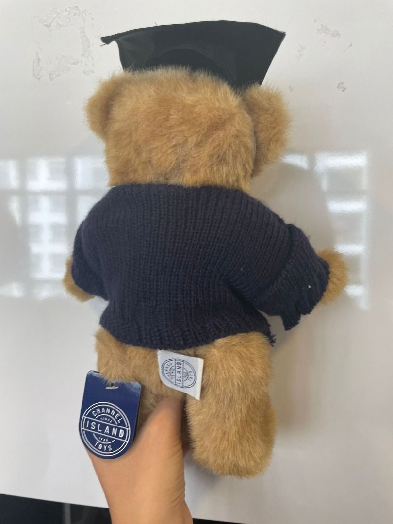 LSE Graduation Bear, Hobbies & Toys, Toys & Games on Carousell