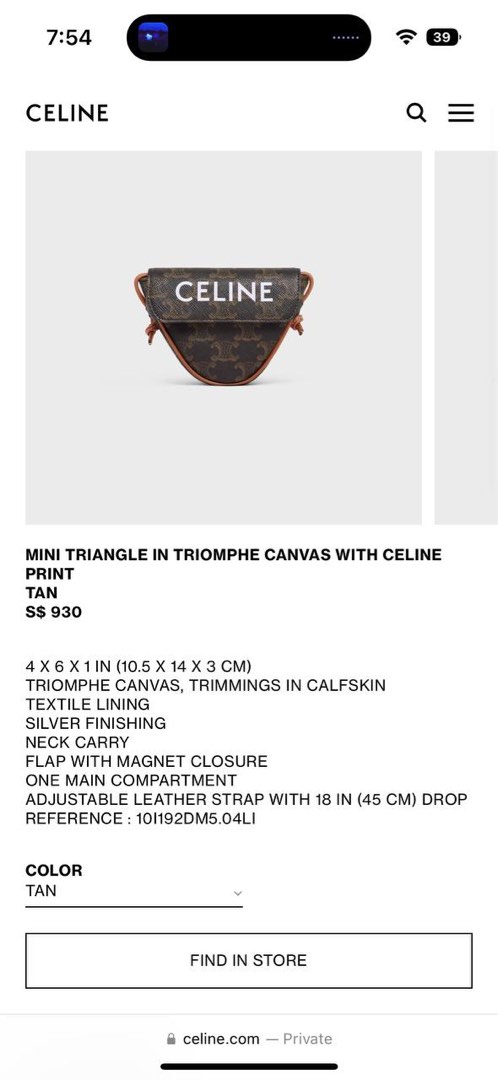MINI TRIANGLE IN TRIOMPHE CANVAS WITH CELINE PRINT, Women's Fashion ...