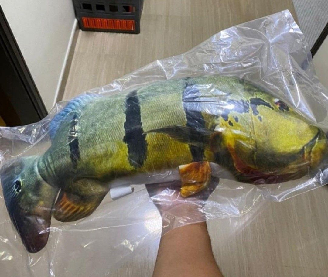 Peacock Bass Temensis Fishing Plush Toy | 50cm, Sports Equipment ...