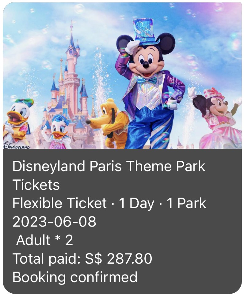 Paris Disneyland Flexible Tix for 2 (Klook), Tickets & Vouchers ...