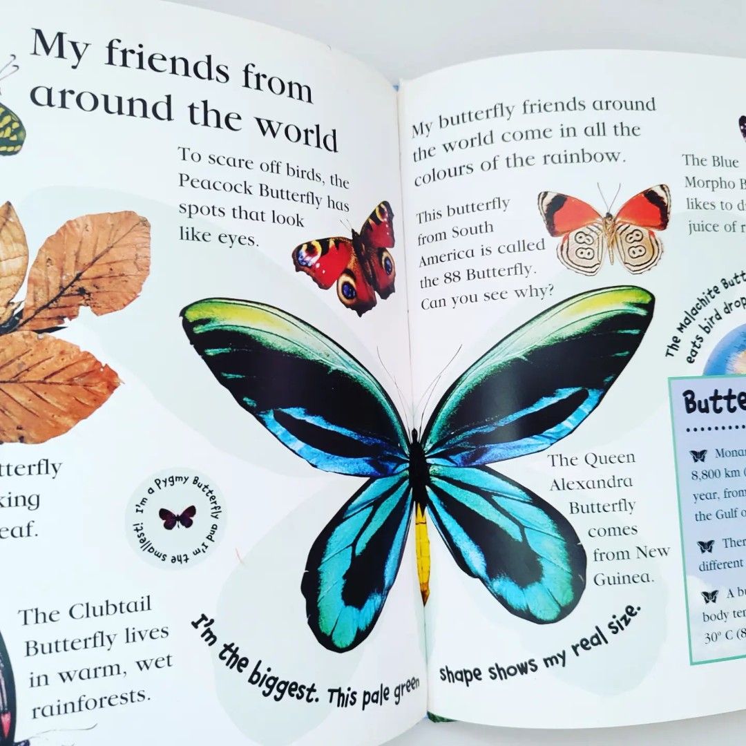 DK Watch Me Grow BUTTERFLY Reference Book on Carousell
