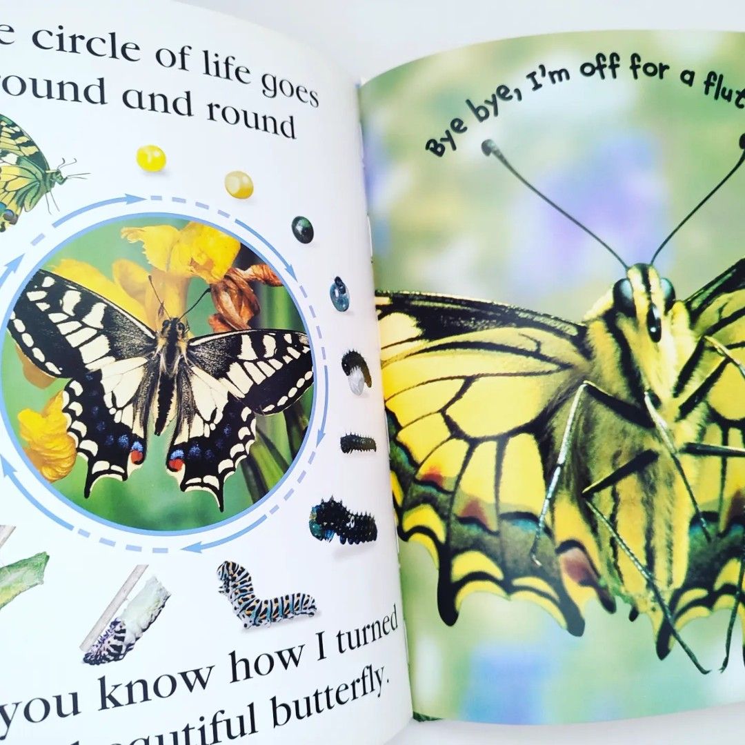 DK Watch Me Grow BUTTERFLY Reference Book on Carousell