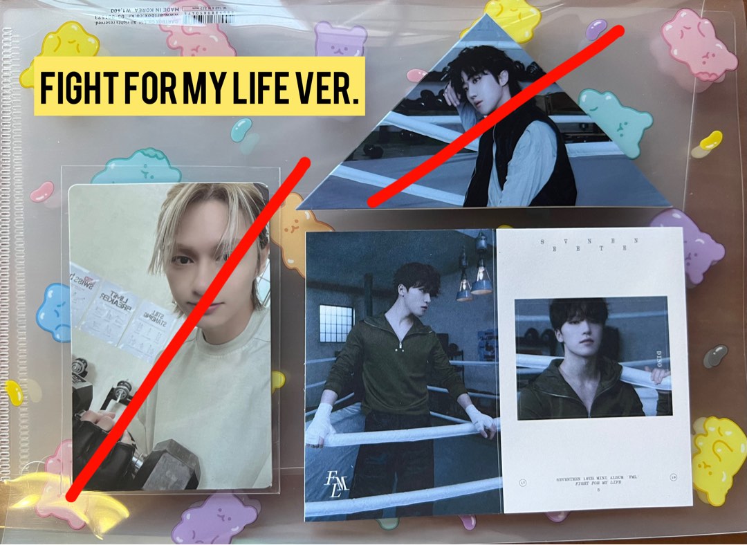 WTT/WTS Seventeen FML (Fight For My Life) inclusion - Dino, Hobbies ...