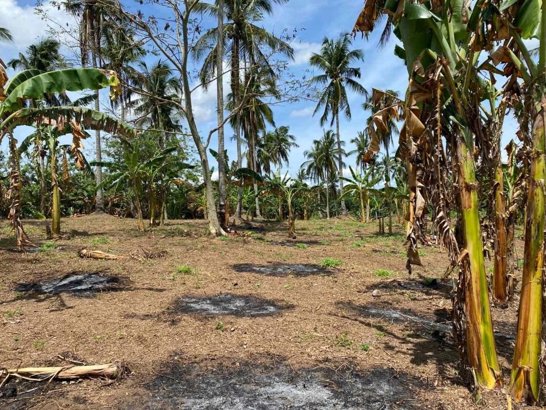 2 hectares lot with river at Alfonso Cavite P1,800/sqm Clean Title on ...