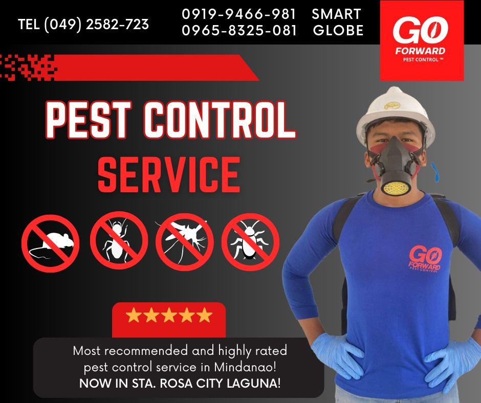ANAY TERMITE CONTROL on Carousell
