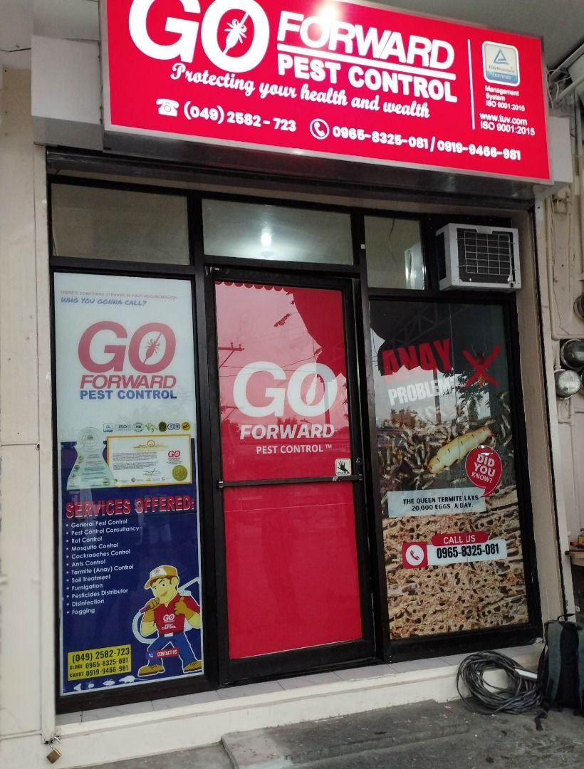 ANAY TERMITE CONTROL on Carousell