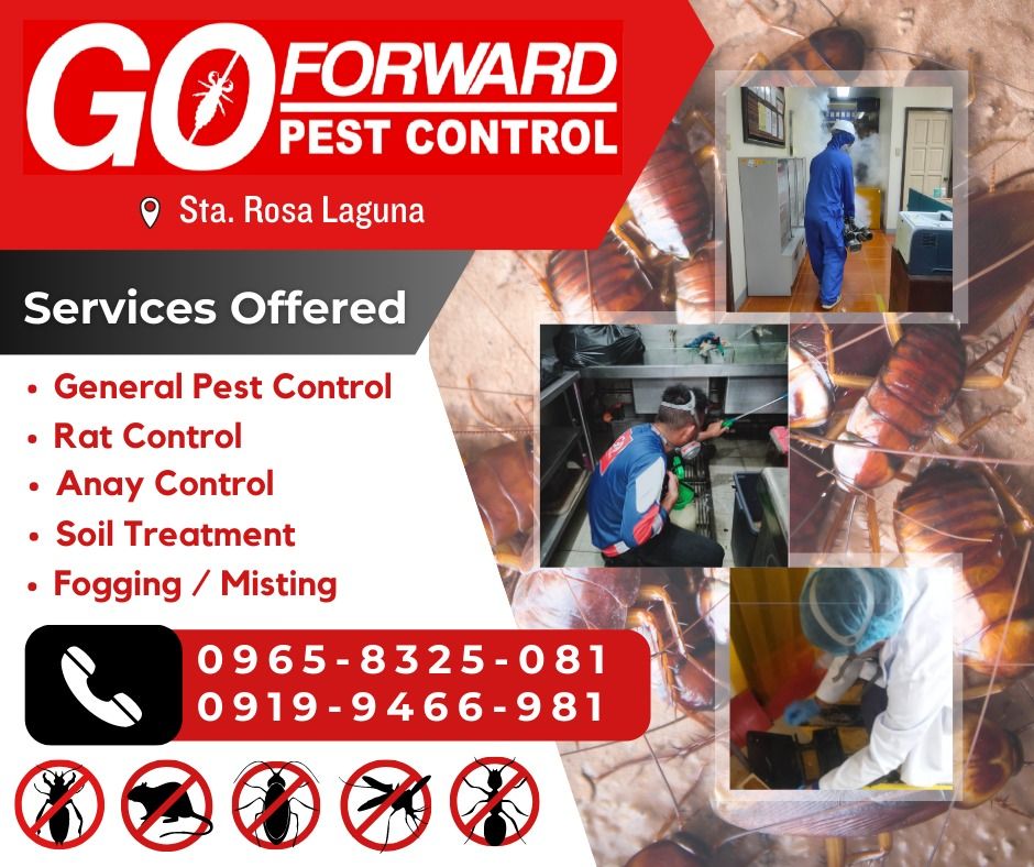 ANAY TERMITE CONTROL on Carousell