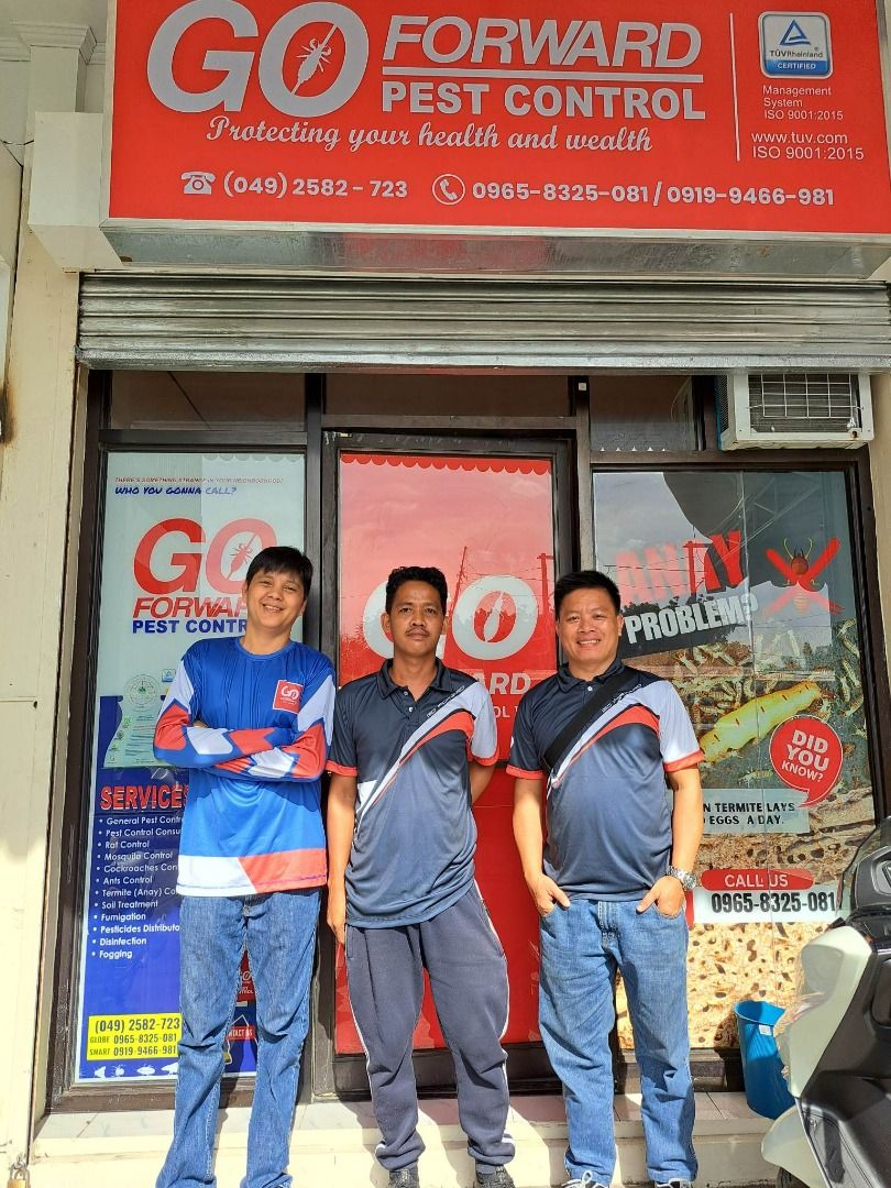 ANAY TERMITE CONTROL on Carousell