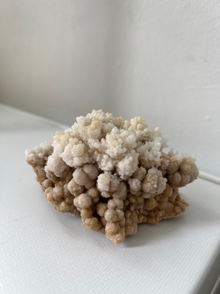 Coral Crystal, Hobbies & Toys, Memorabilia & Collectibles, Vintage ...