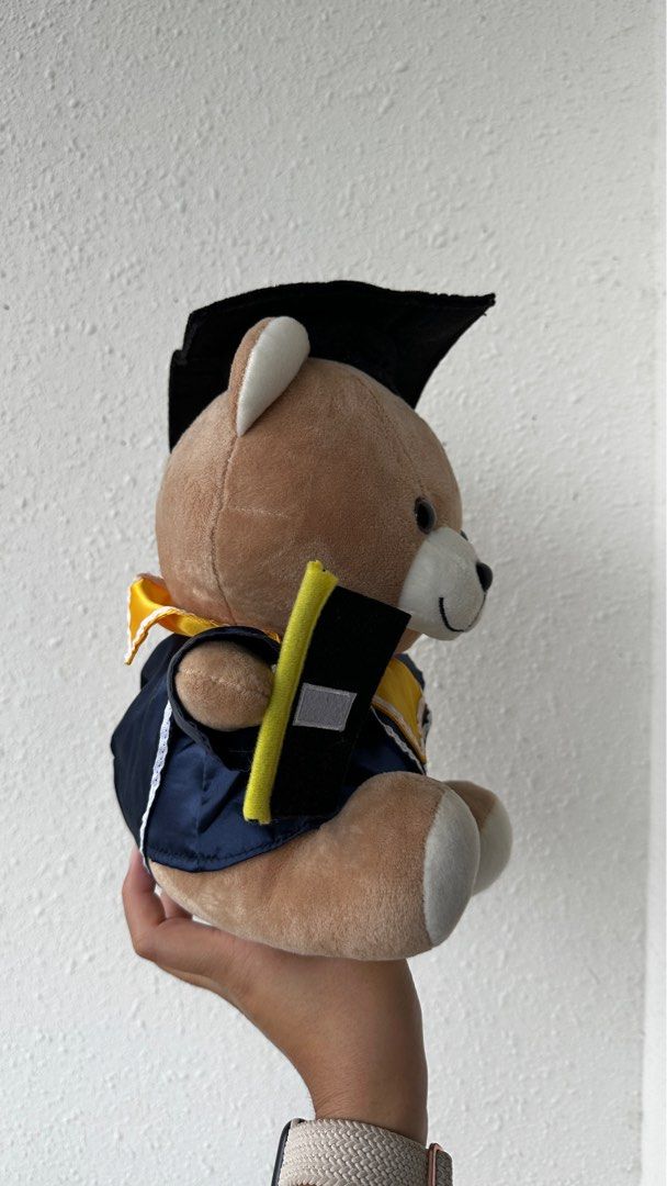 Graduation bear - NTU or Ngee Ann Poly, Hobbies & Toys, Toys & Games on ...
