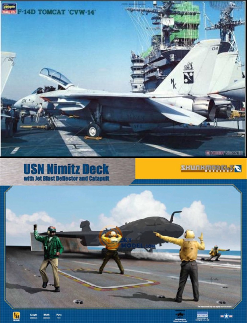 Hasegawa 1/48 F-14D Tomcat 'CVW-14' (item # PT12/ 07212) + Skunkmodels ...