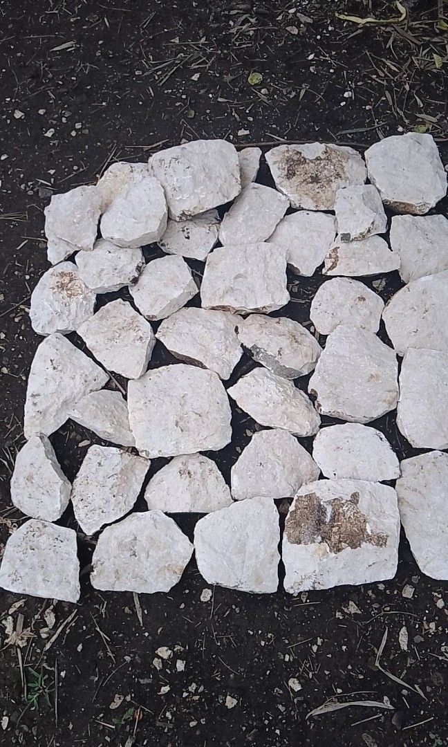 Java blanca crazy cut on Carousell