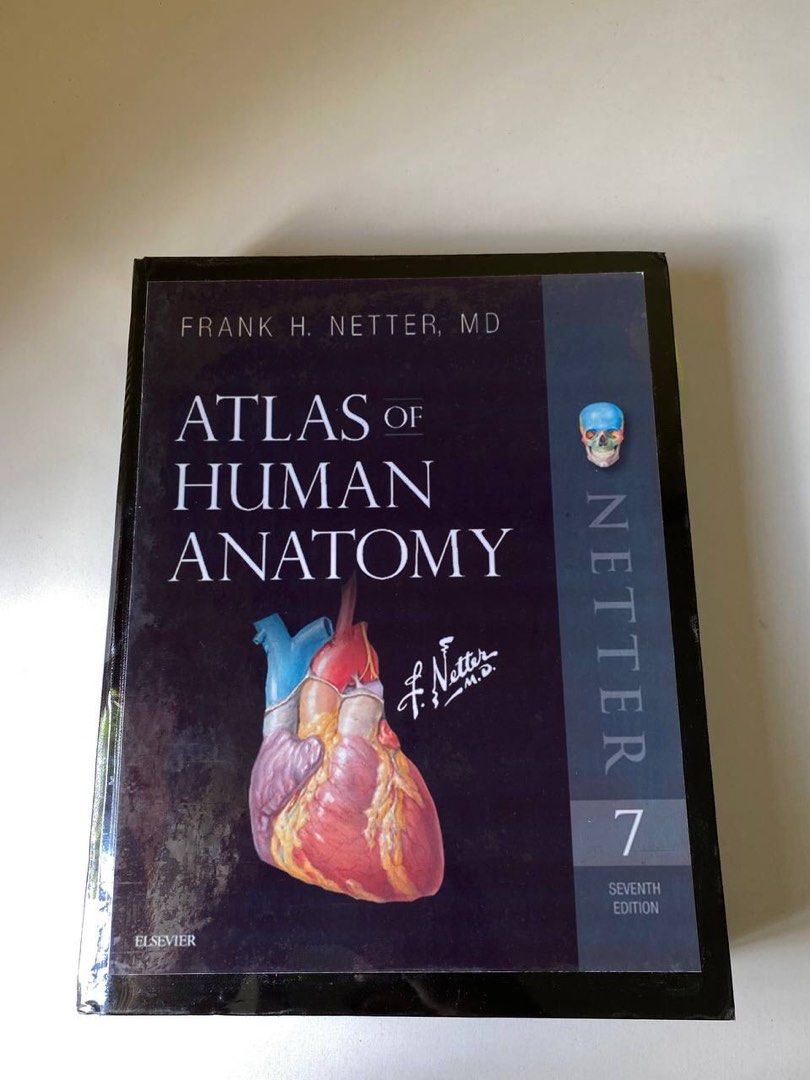 Netter's Atlas of Human Anatomy 7th Edition on Carousell