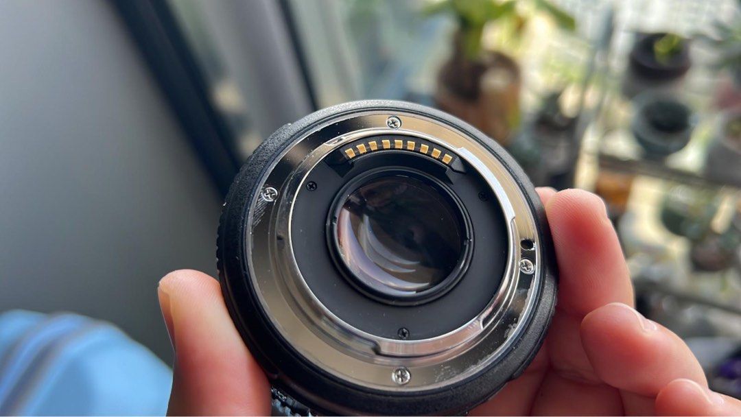 Olympus 50mm f/2 Zuiko digital macro lens, Photography, Lens & Kits on ...
