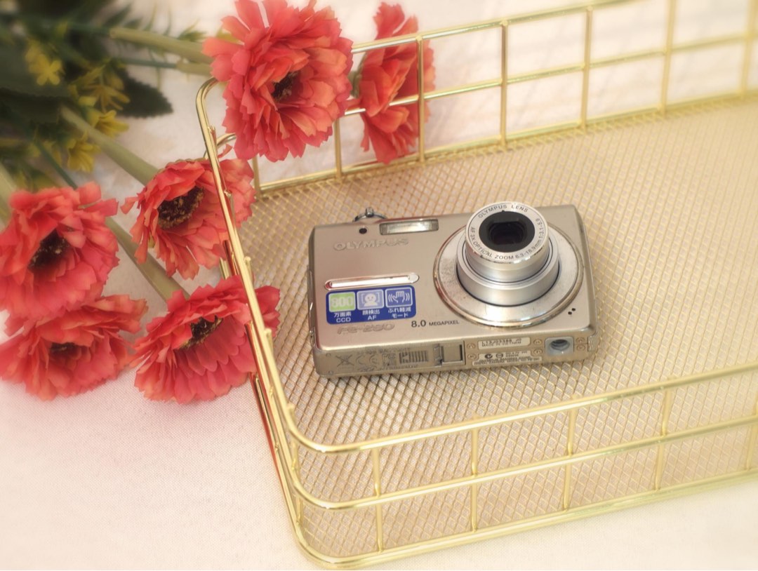 Olympus FE-280 Digital Camera on Carousell