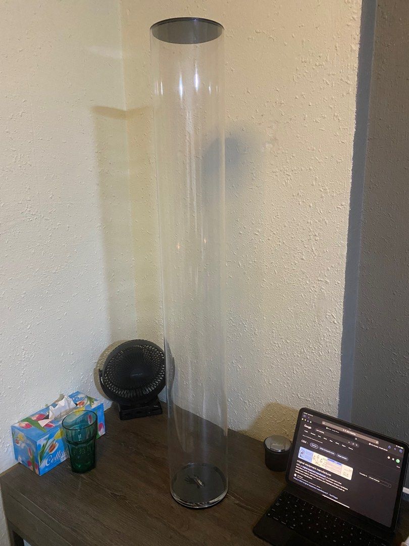 SAF Sword Case, Furniture & Home Living, Home Decor, Other Home Decor ...