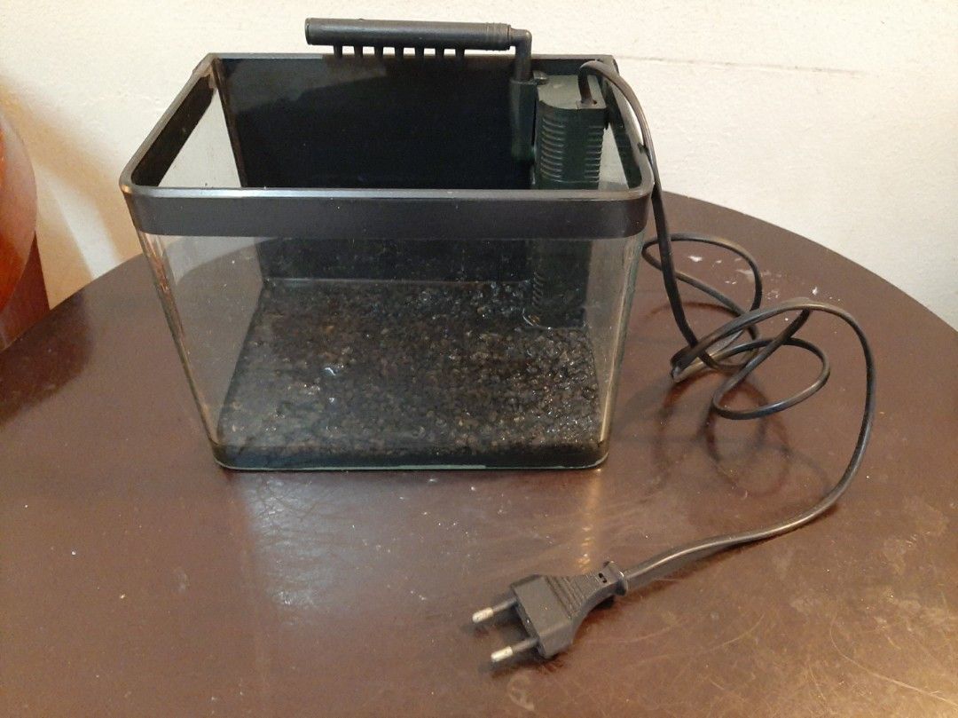Small Curved Edge Fish Tank Setup, Pet Supplies, Homes & Other Pet ...