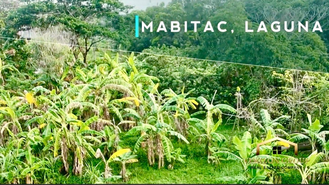 9,678 SQM LOT in Mabitac, Laguna (Near Pililia Windmills/Rizal boundary ...
