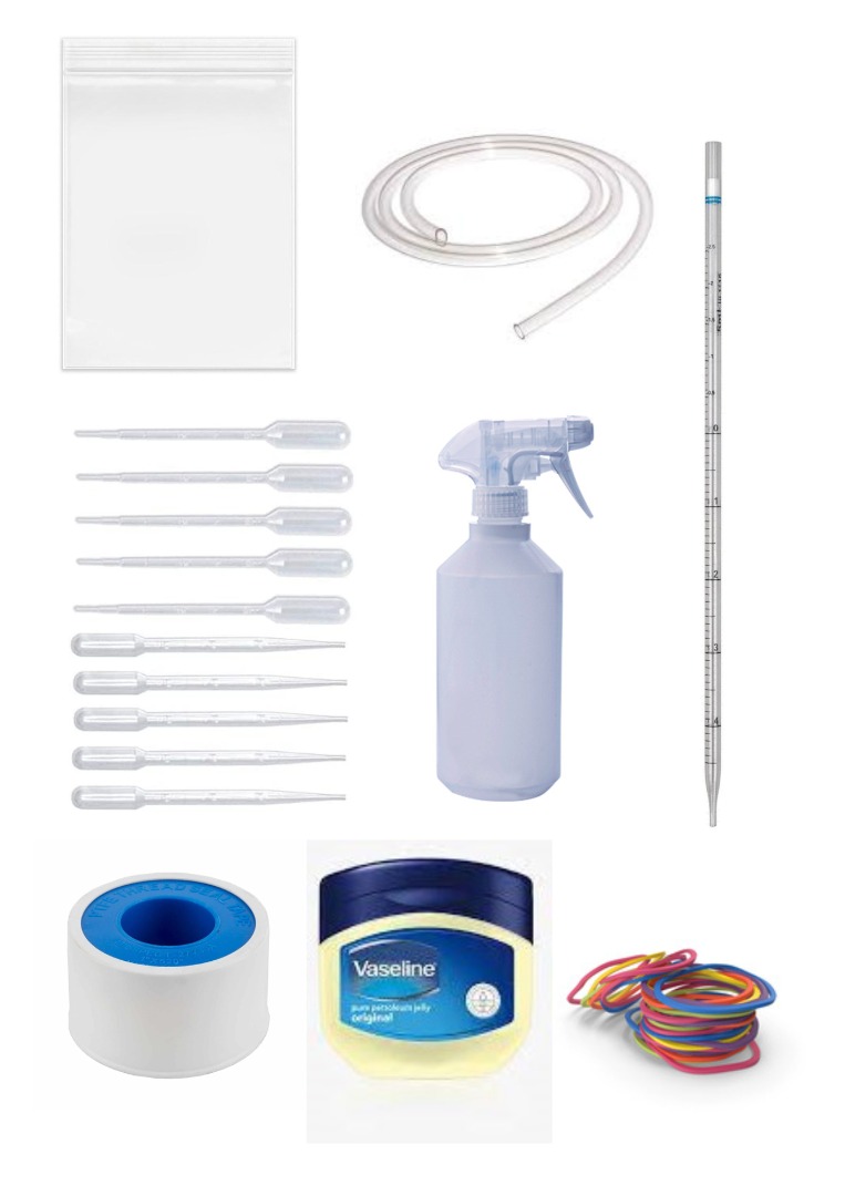 Biology Transpiration Materials kit craft, Hobbies & Toys, Stationery ...