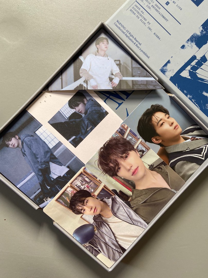 FML Fight For My Life Wonwoo Dino Set, Hobbies & Toys, Memorabilia ...