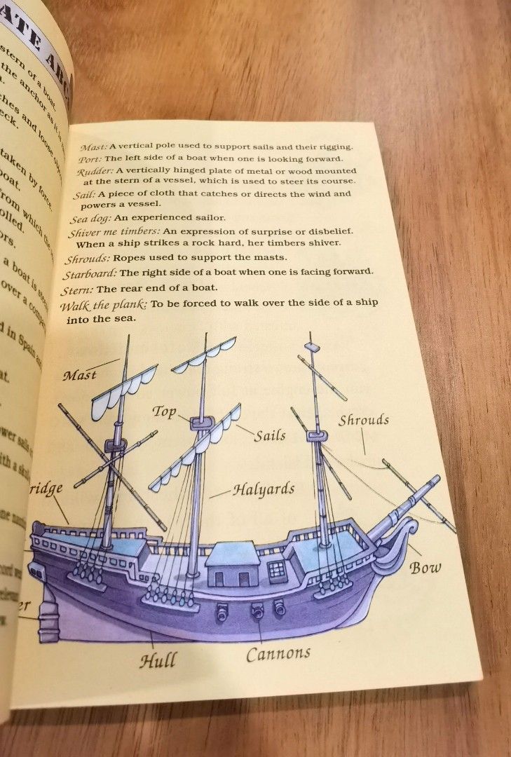 Geronimo Stilton Shipwreck On The Pirate Islands Children Story Book ...