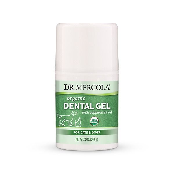 Mercola Healthy Pets, Dr Karen Becker Organic Dental Gel (56.6g) | Oral ...