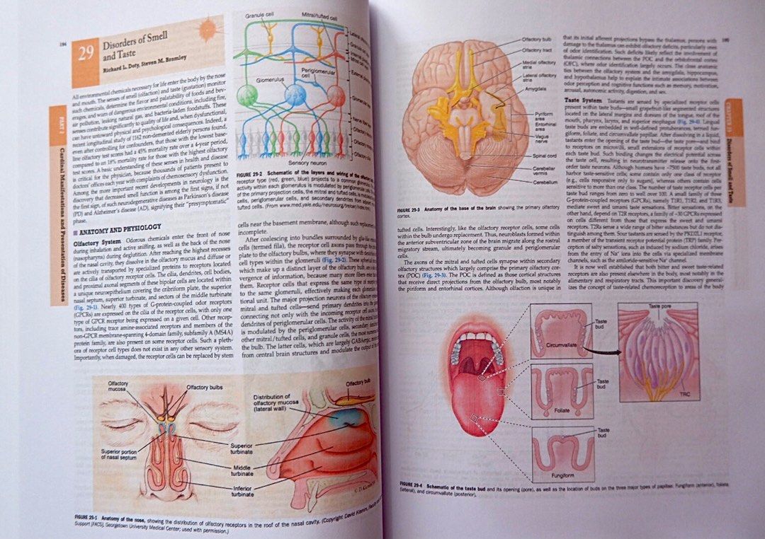 Nelson’s Pediatrics - Medical Book, Hobbies & Toys, Books & Magazines ...