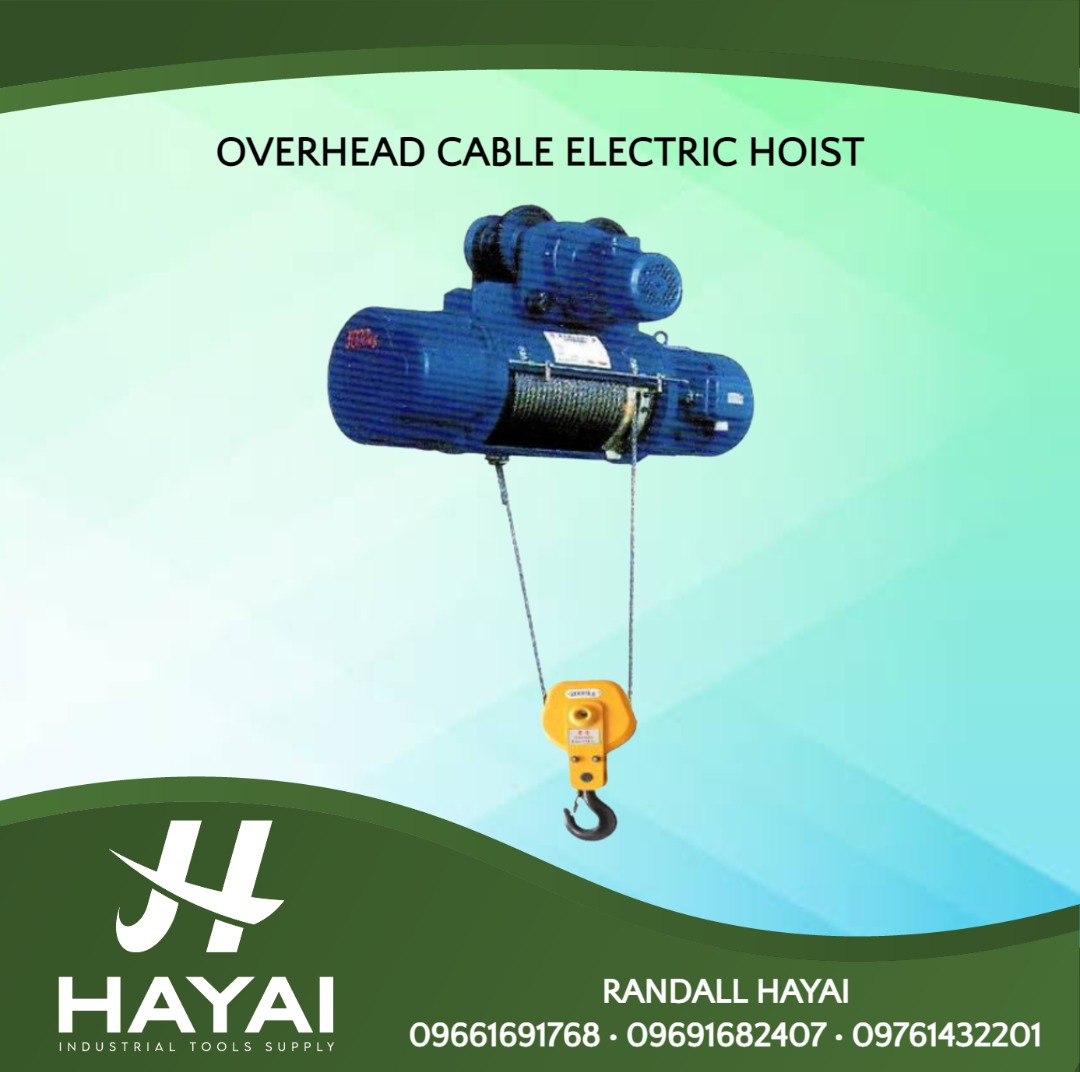 Overhead Electric Hoist 3 Phase with Motorized Travelling Trolley ...