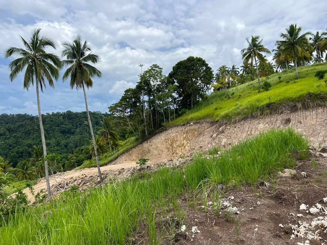 Overlooking lot in Samal on Carousell