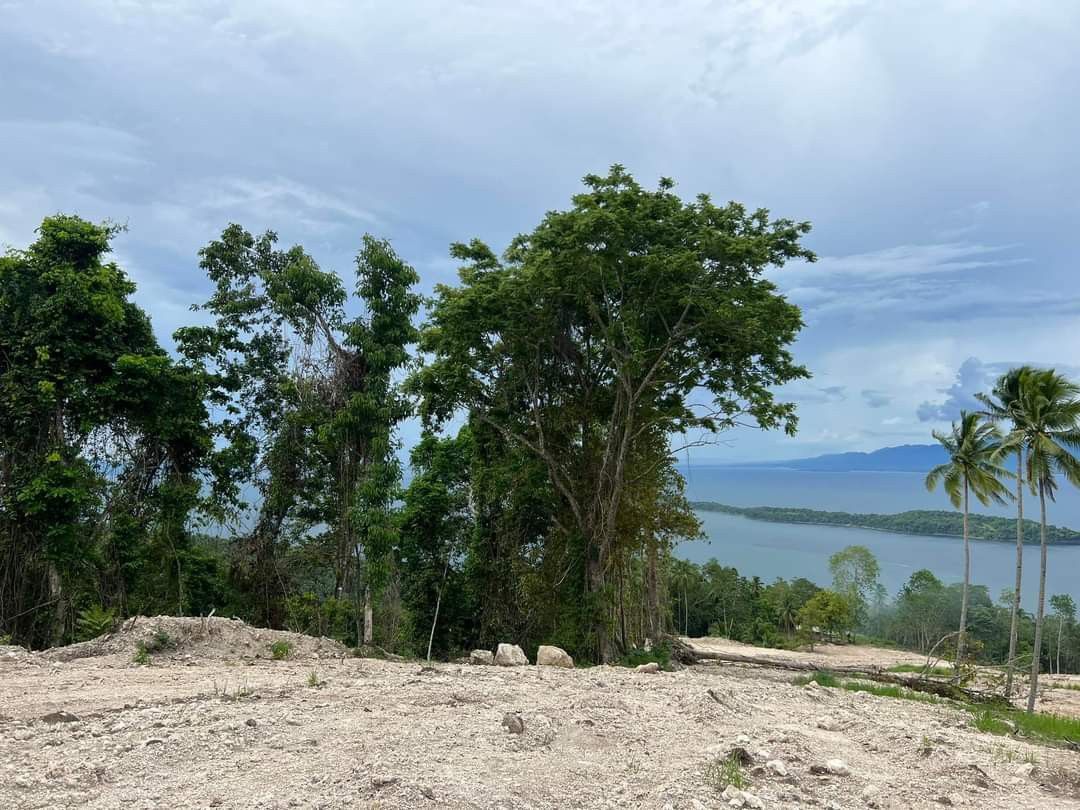 Overlooking lot in Samal on Carousell
