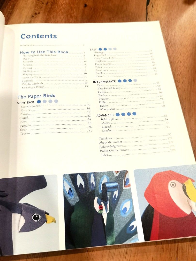 Paper Birds 25 Projects to Copy Cut And Fold Art Craft Book By Hiroshi ...