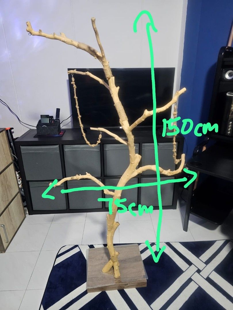 Parrot Stand (Java Tree), Pet Supplies, Homes & Other Pet Accessories ...