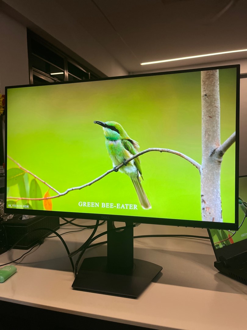 DELL Gaming S2719DGF 27" inch 144Hz QHD 2560 x 1440 Professional ...