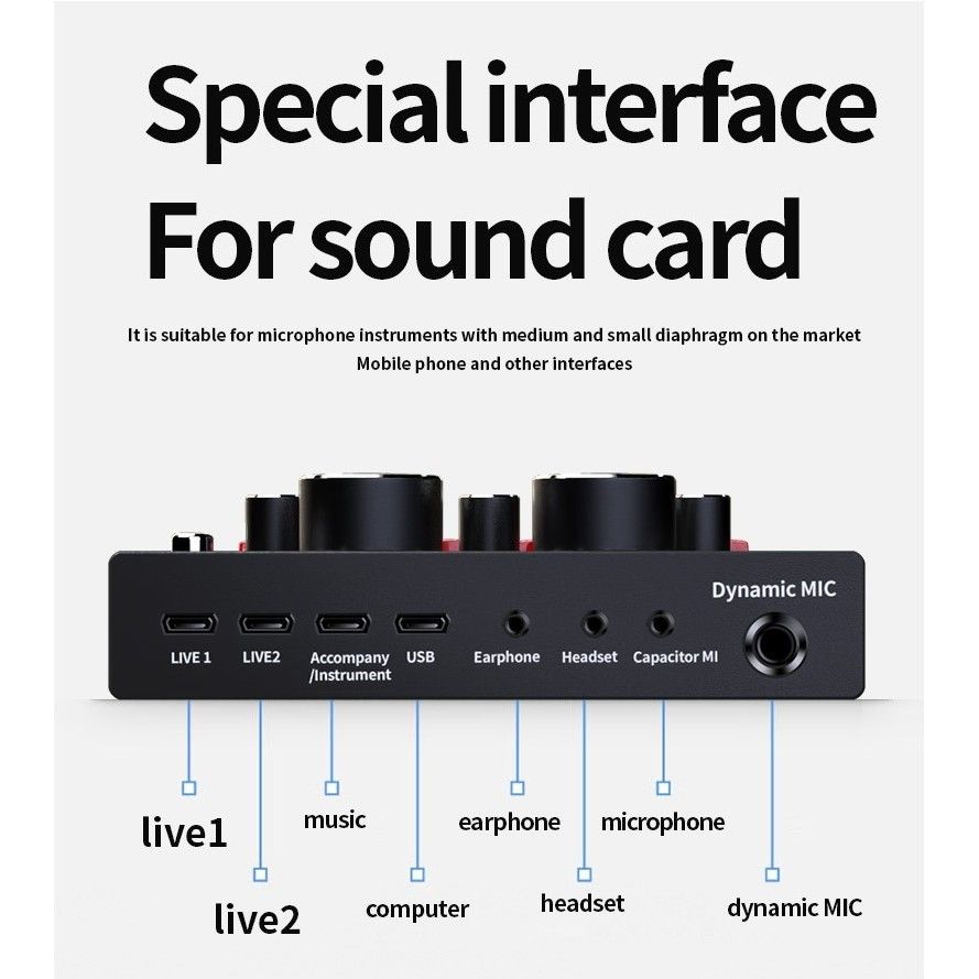 F22 Condensor Microphone + V8 Sound Card Set, Audio, Microphones on ...