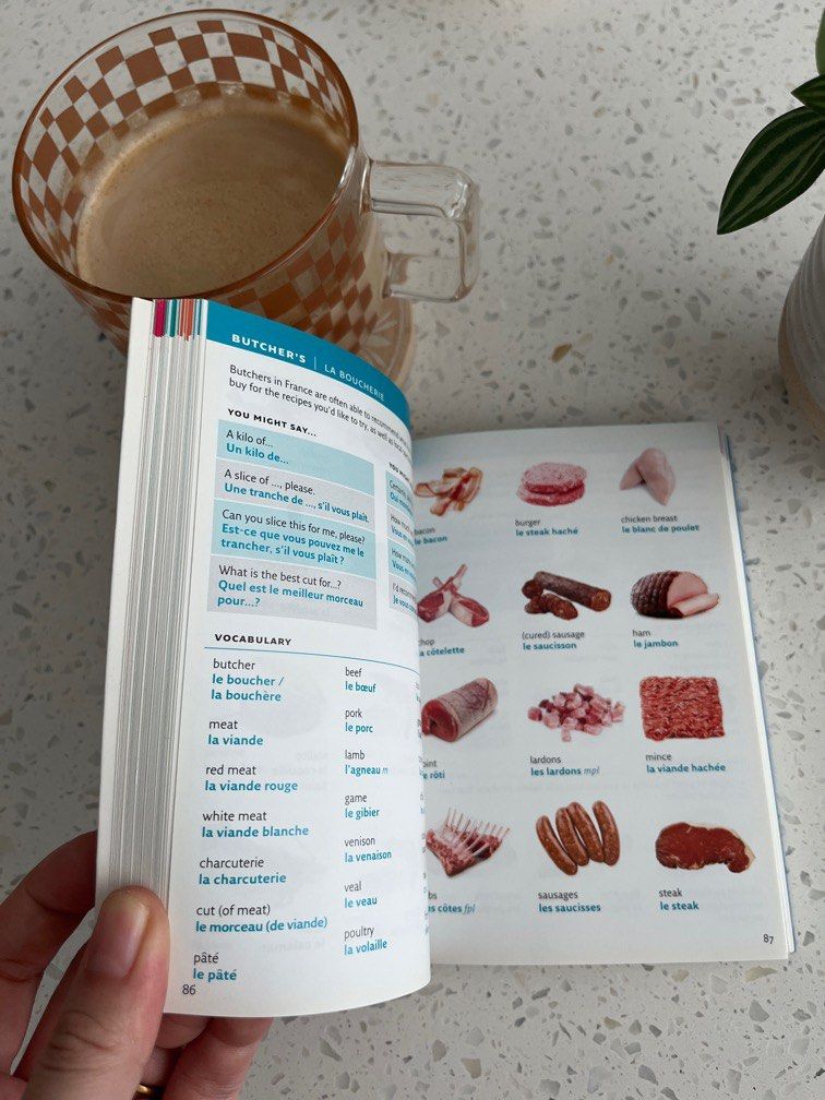 French Visual Dictionary, Hobbies & Toys, Books & Magazines, Textbooks ...