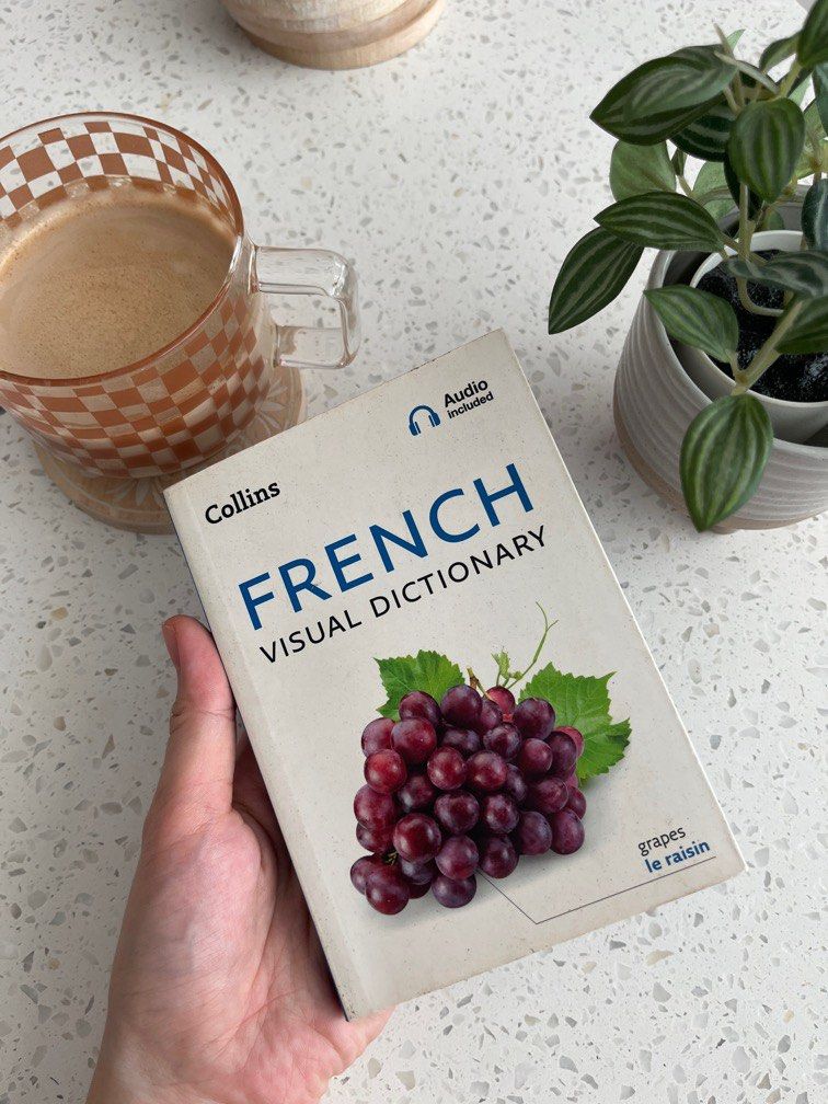 French Visual Dictionary, Hobbies & Toys, Books & Magazines, Textbooks ...