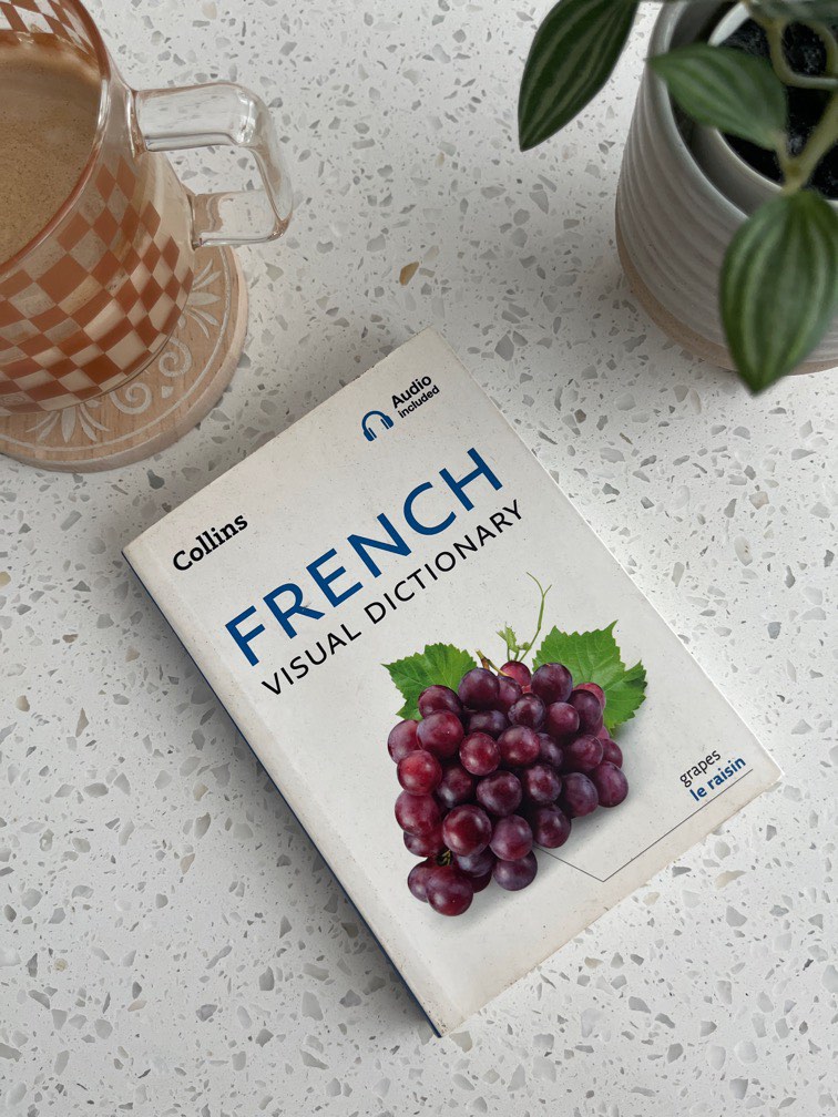 French Visual Dictionary, Hobbies & Toys, Books & Magazines, Textbooks ...