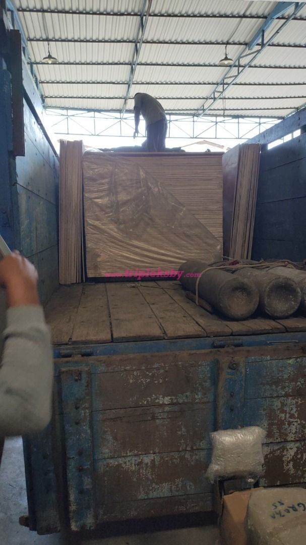 Jual Triplek Plywood Surabaya Sengon Semi Meranti Cor Bekisting Proyek Serba Serbi Others Di