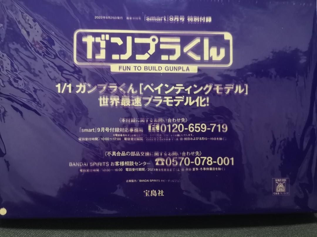 Limited Gunpla-Kun Painting ver Model kit LIMEX Gunpla Mobile suit ...