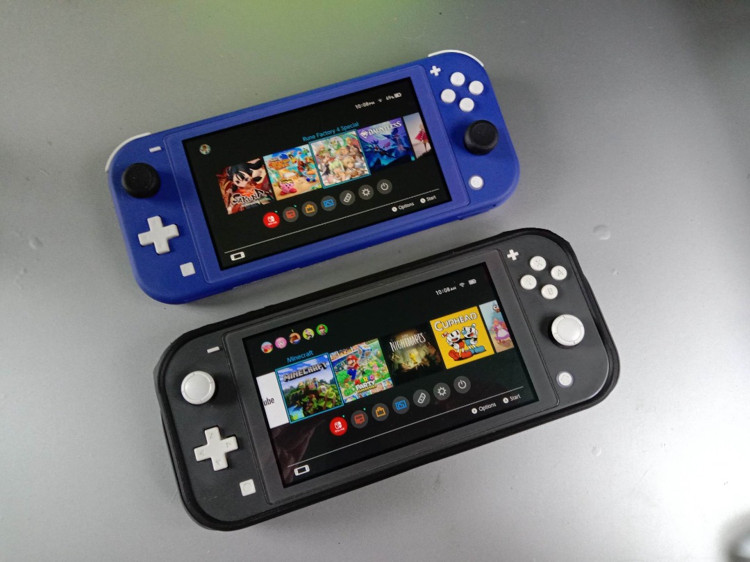 Nintendo switch lite Blue & Gray, Video Gaming, Video Game Consoles ...