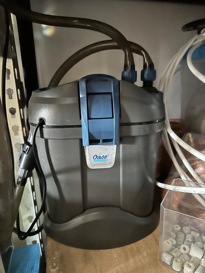 Oase filtosmart 100, Pet Supplies, Homes & Other Pet Accessories on ...